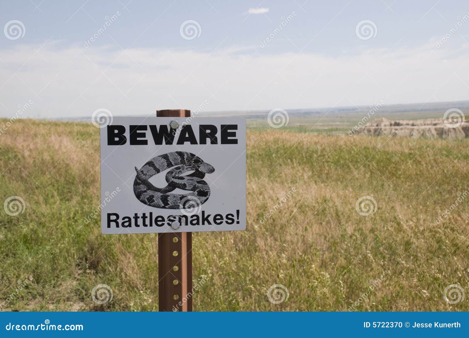 Beware rattlesnakes sign stock photo. Image of warning - 5722370