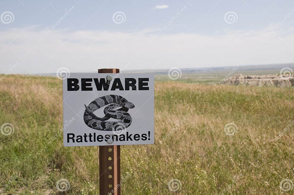 Beware rattlesnakes sign stock photo. Image of warning - 5722370