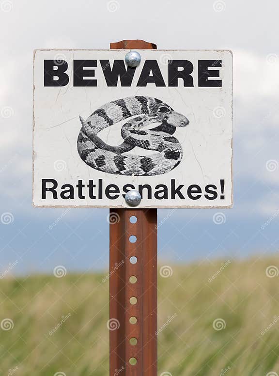 Beware of Rattlesnakes Sign Stock Photo - Image of bite, park: 94476362