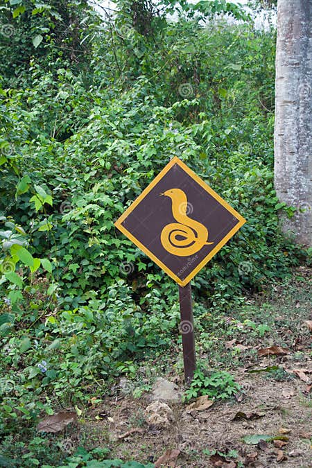 Beware snake sign stock photo. Image of panelling, snake - 27264766