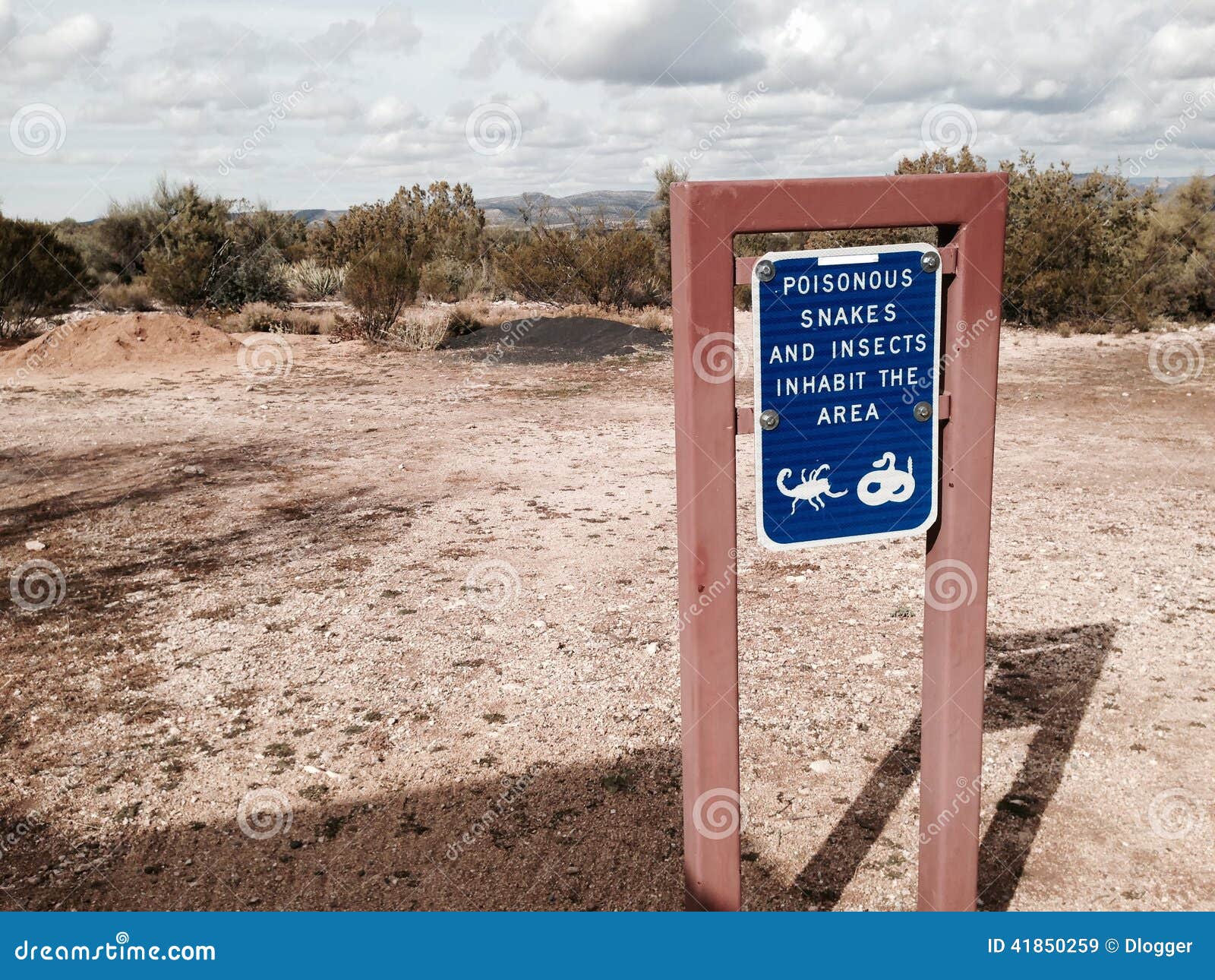 Beware of Snakes and Insects. Stock Image - Image of insects, poisonous ...