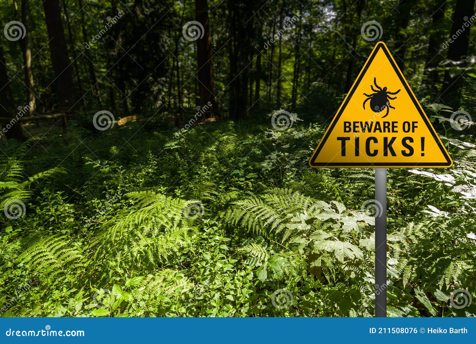 Beware Of Ticks Warning Sign On A Tree In The Forest Against A Blurred ...