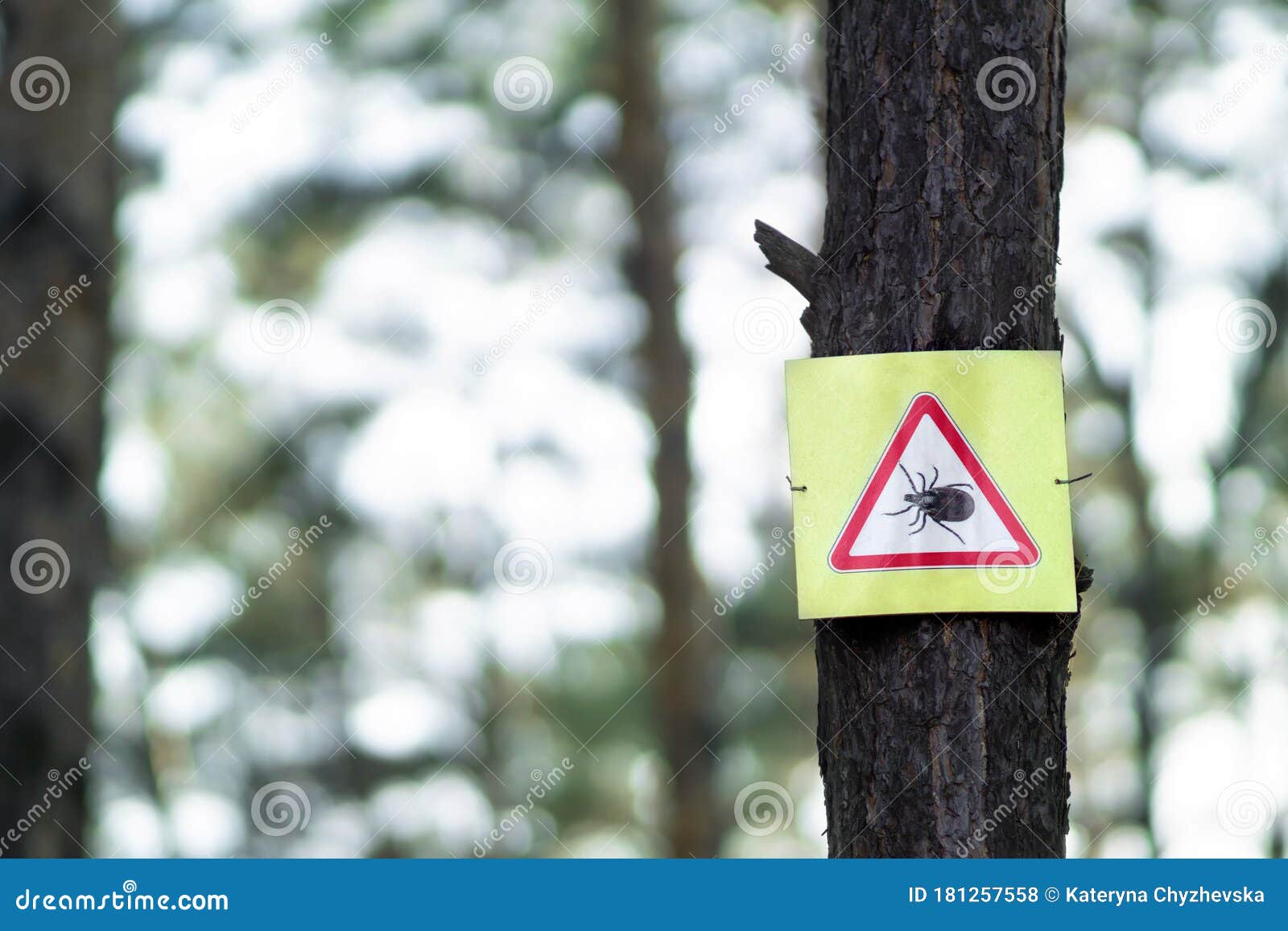 Beware of Ticks Warning Sign on a Tree in the Forest Against a Blurred ...