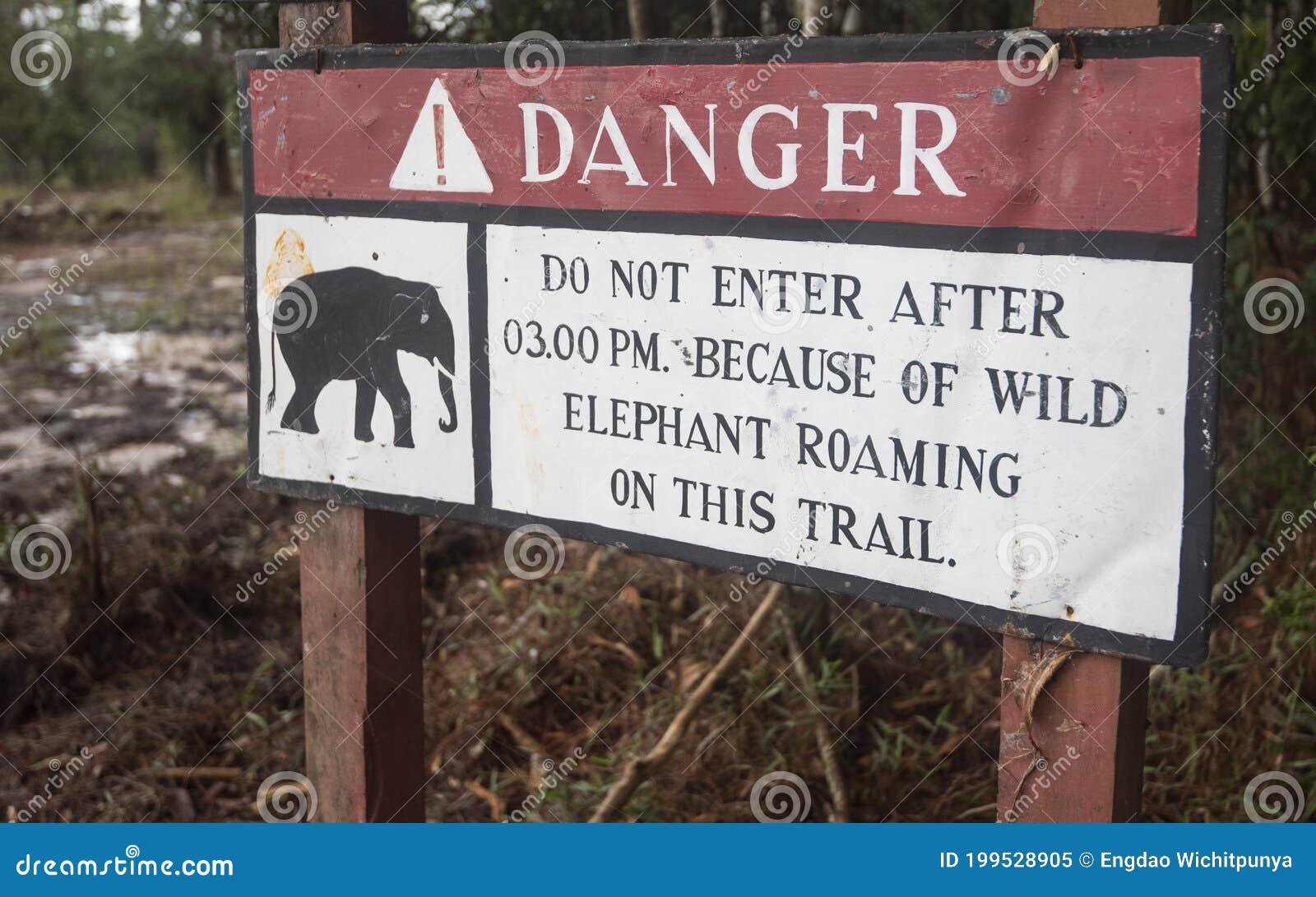 Beware of Wild Elephants / Danger Wild Animal Sign in the Forest Stock ...
