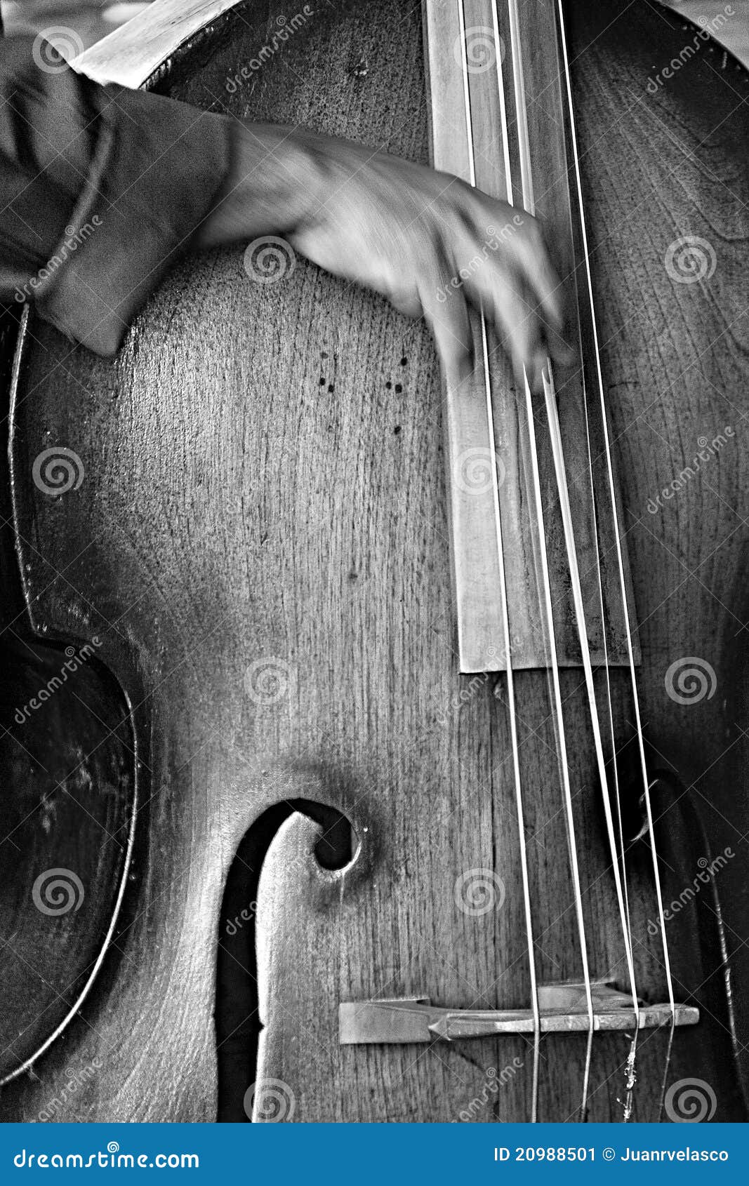 Bewegende Hand Die Een Baars Speelt Stock Afbeelding - Image of orkest ...