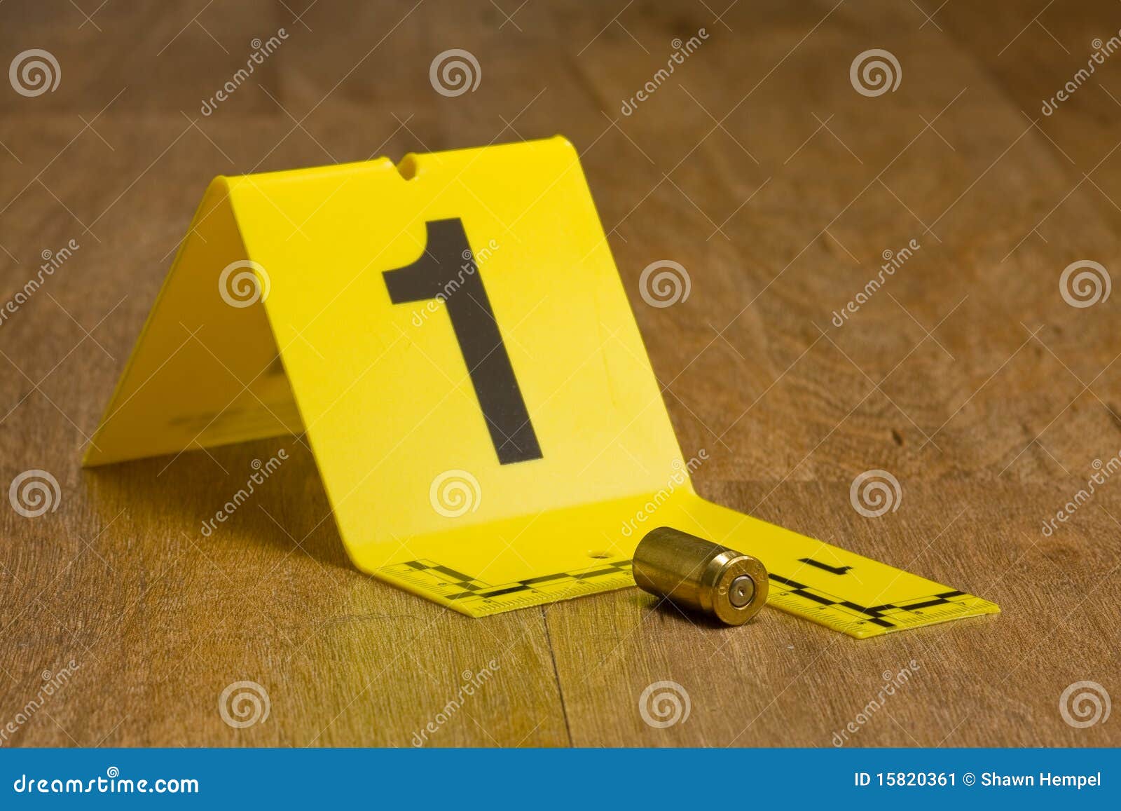 Beweis stockbild. Bild von gesetz, verbrechen, gewehrkugel - 15820361