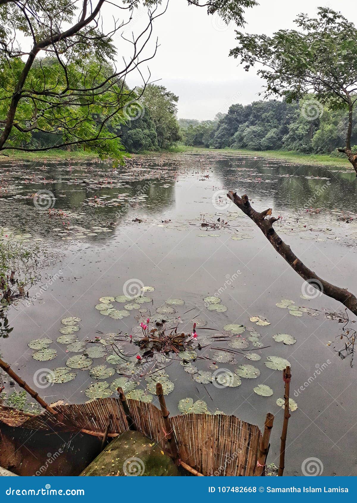 Beyond vision stock photo. Image of visionary, expectation - 107482668