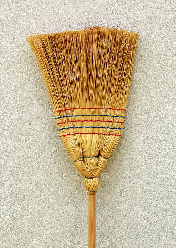 Bezem stock afbeelding. Image of hoofd, vermoeiend, halsband - 32367261