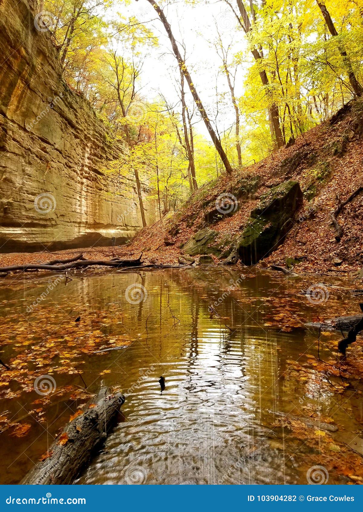 Bezinning stock foto. Image of bezinningen, bezinning - 103904282