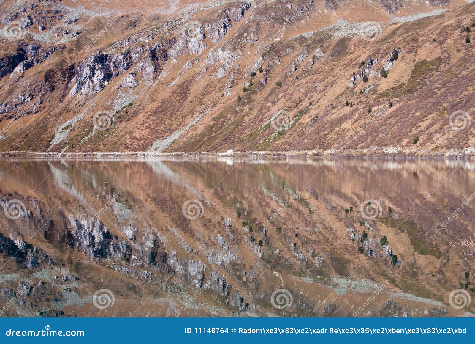 Bezinning stock foto. Image of najaar, groen, landschap - 11148764