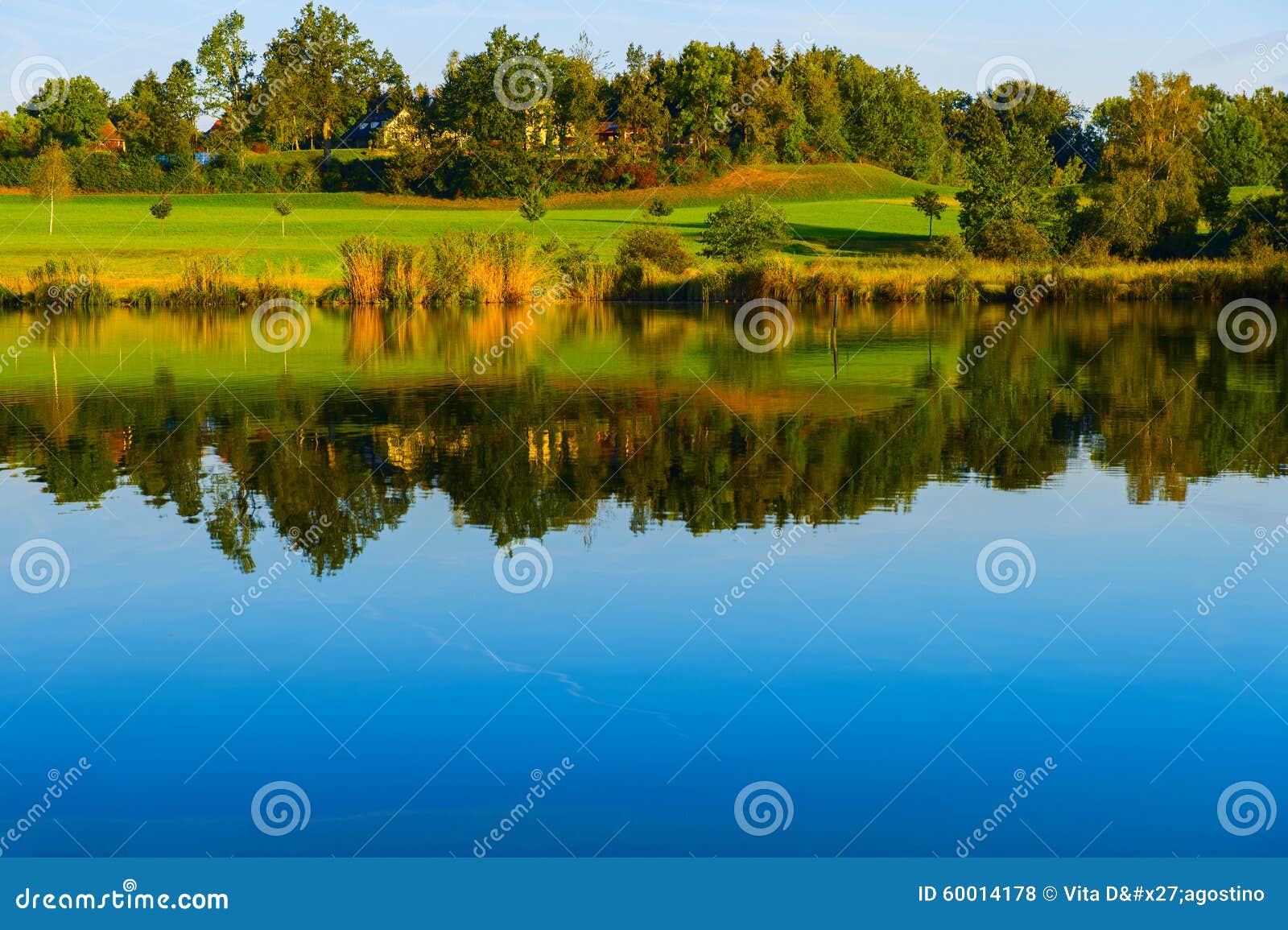 Bezinning de vroege herfst stock foto. Image of boom - 60014178