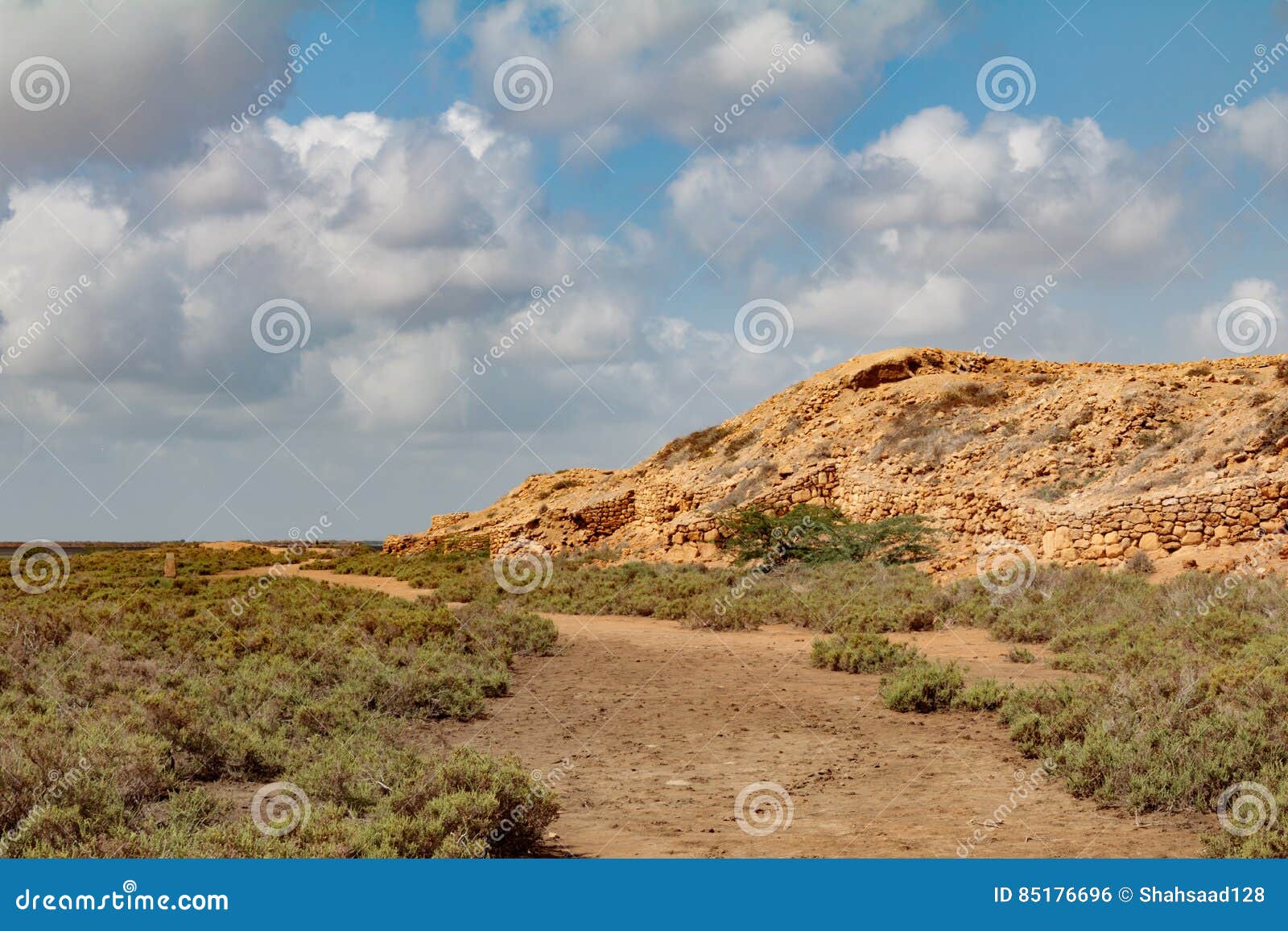 Bhambore stock photo. Image of plants, clouds, historical - 85176696