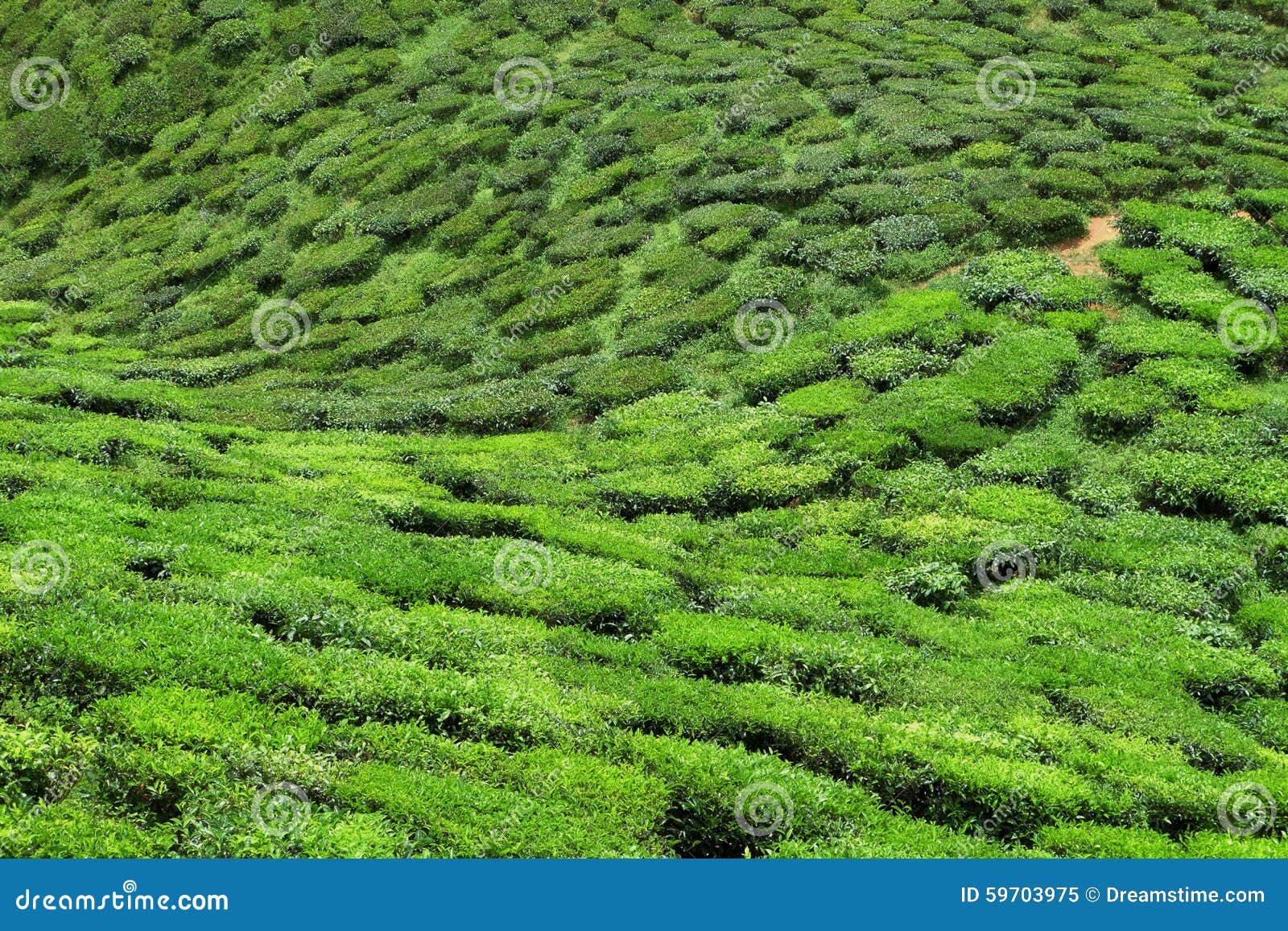 Bharat te valley stock image. Image of vibrant, appreciated - 59703975