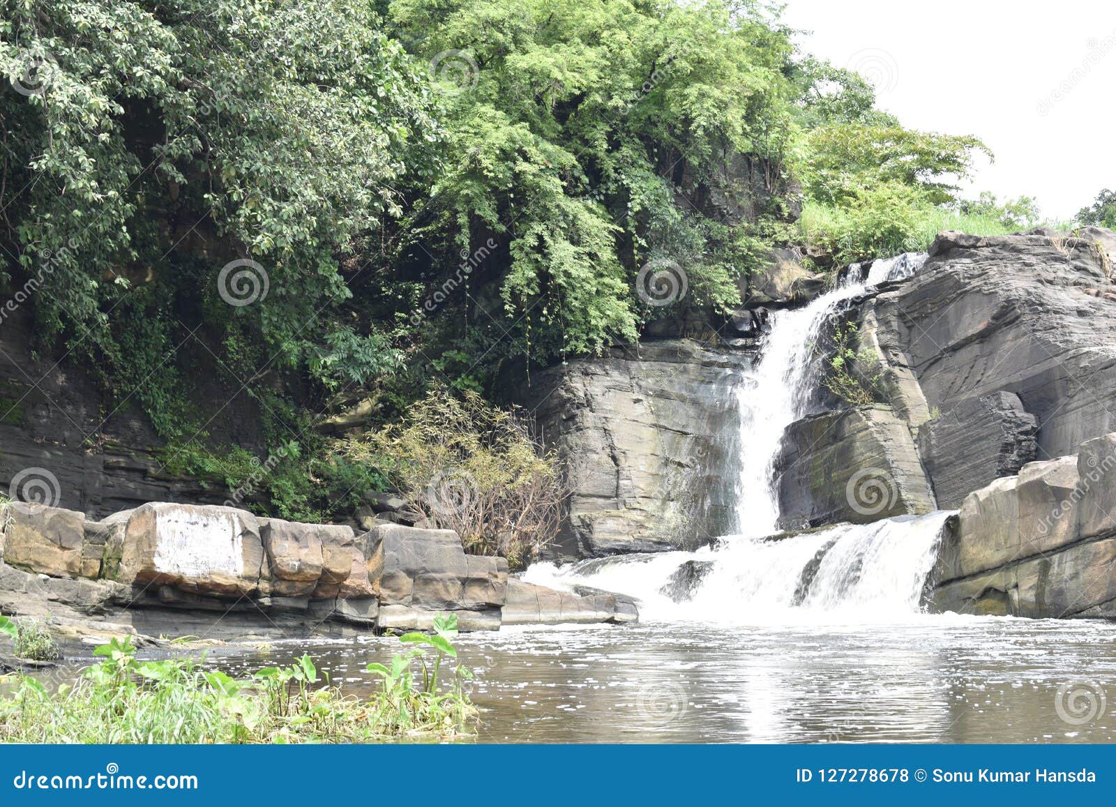 Bhatinda Fall Stock Photos - Free & Royalty-Free Stock Photos from ...