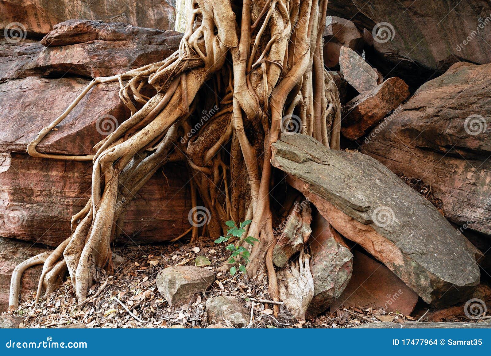 Bhimbetka- World Heritage Site Stock Photo - Image of bhopal ...