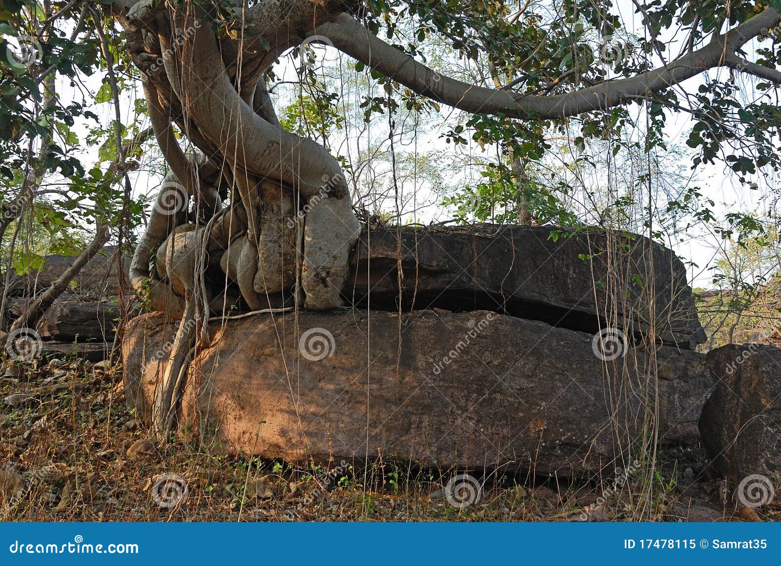 Bhimbetka- World Heritage Site Stock Image - Image of horizontal, rock ...