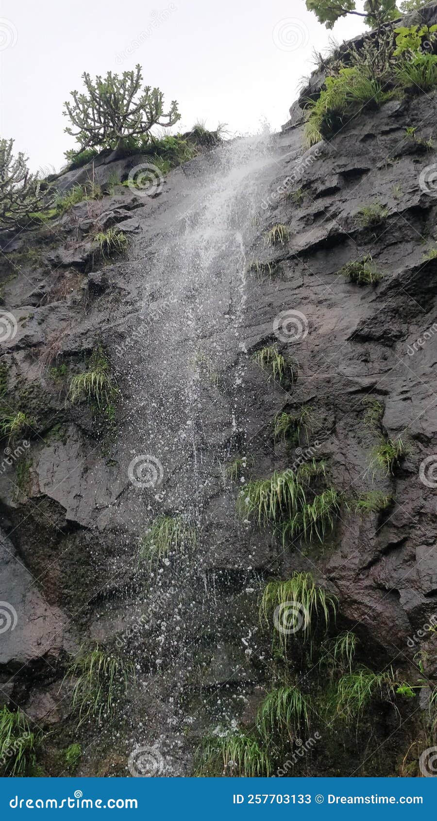 Bhore Stock Photos - Free & Royalty-Free Stock Photos from Dreamstime