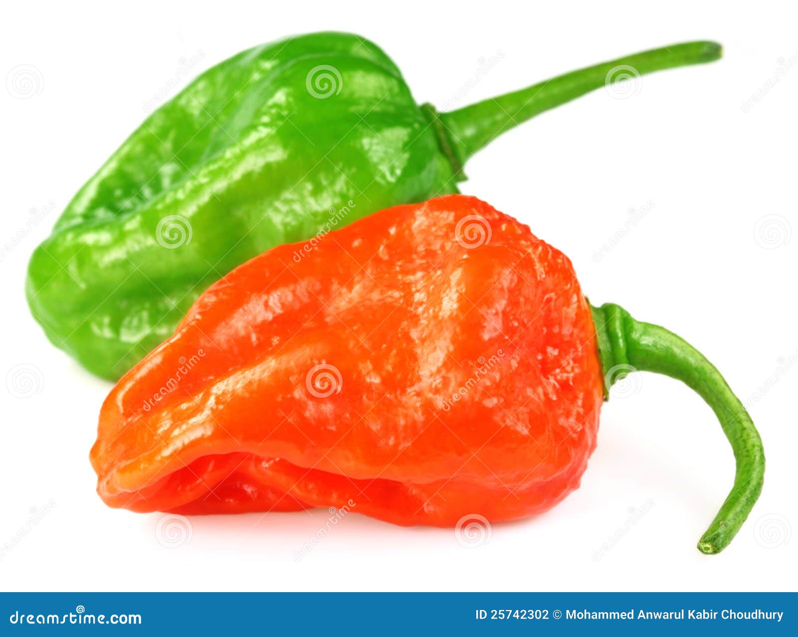 Bhut Jolokia chili peppers stock photo. Image of indian - 25742302