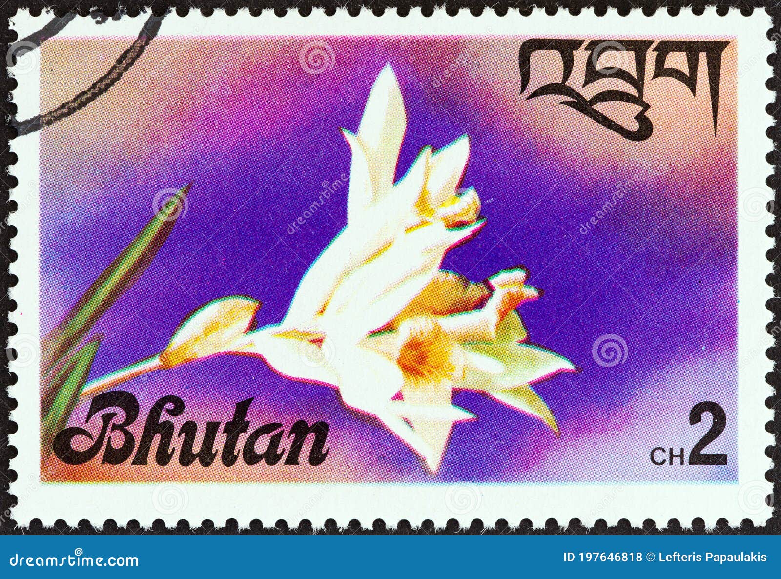 BHUTAN - CIRCA 1976: a Stamp Printed in Bhutan from the `Flowers` Issue ...
