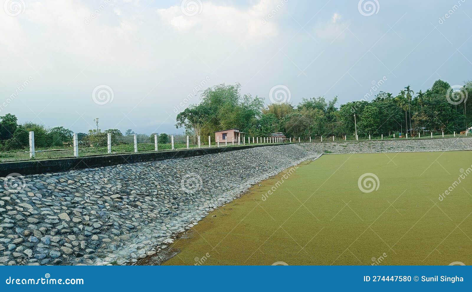 The Bhutia Phukuri Named Pond of Assam, India Stock Photo - Image of ...