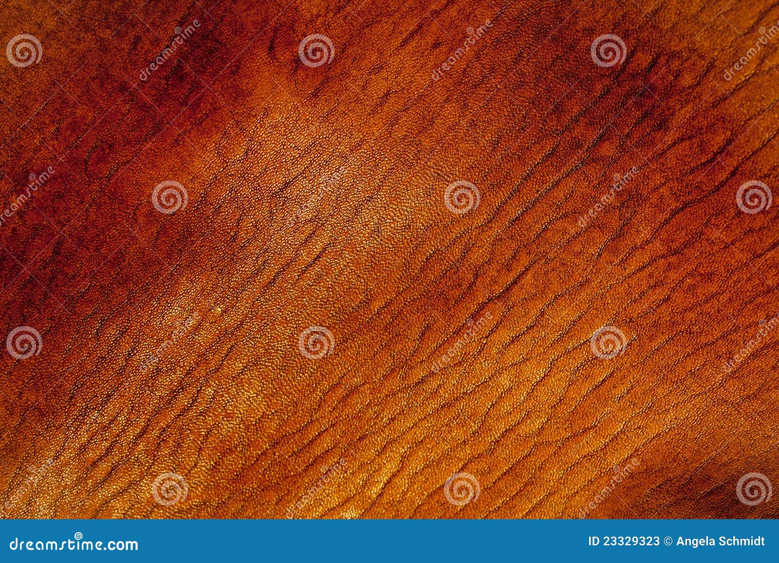 Bi-Color Grunge Background stock image. Image of backdrop - 23329323