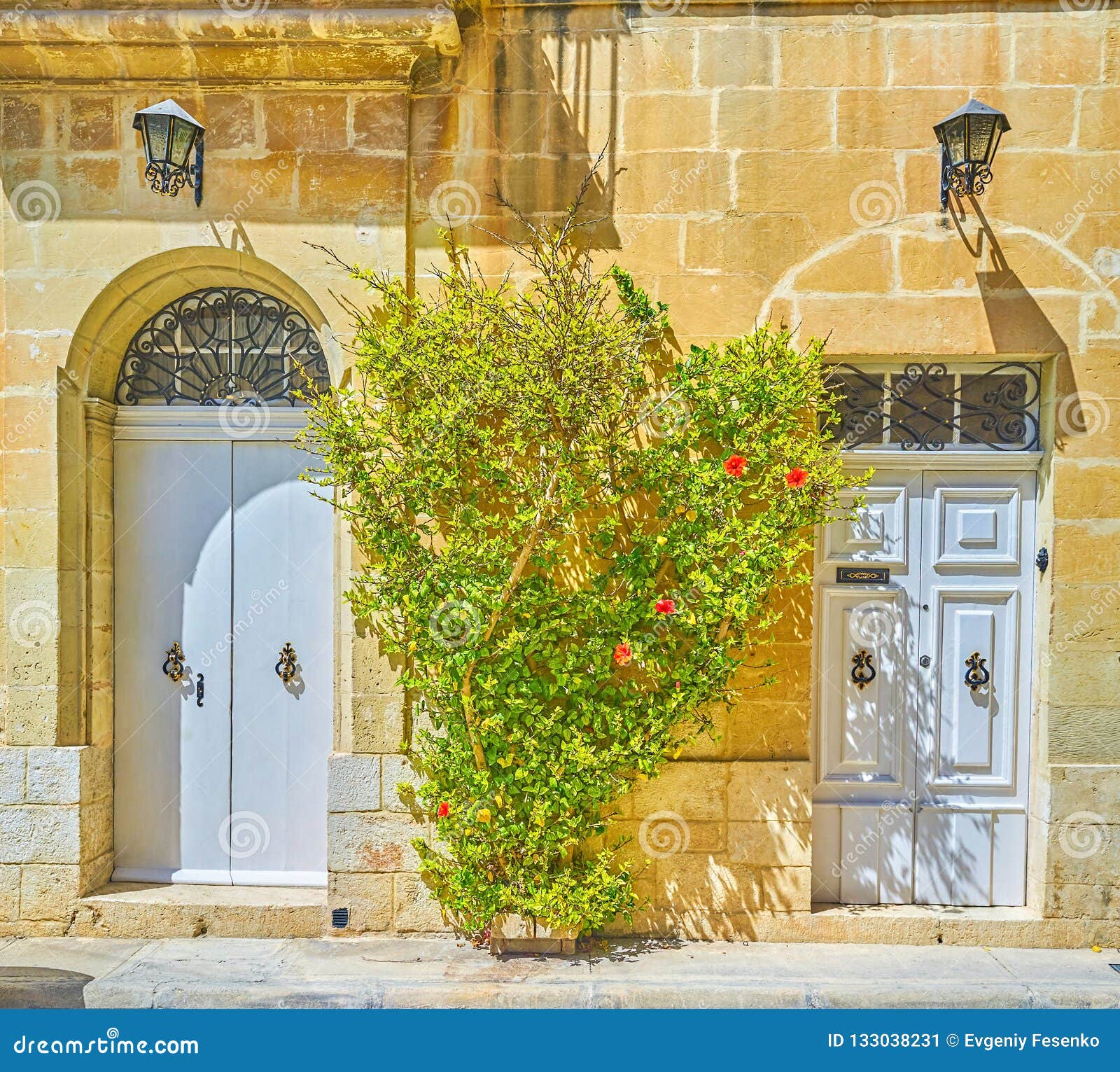 Biali Drzwi W Mosta Miasteczku, Malta Obraz Stock - Obraz złożonej z ...