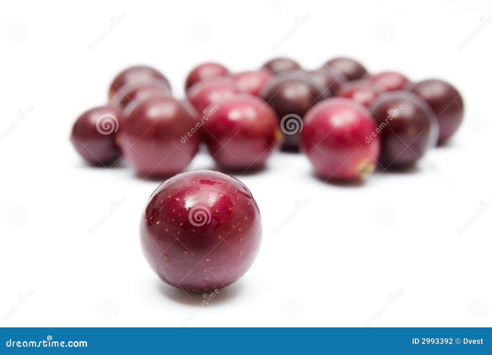 Biali muscadines zdjęcie stock. Obraz złożonej z dżem - 2993392