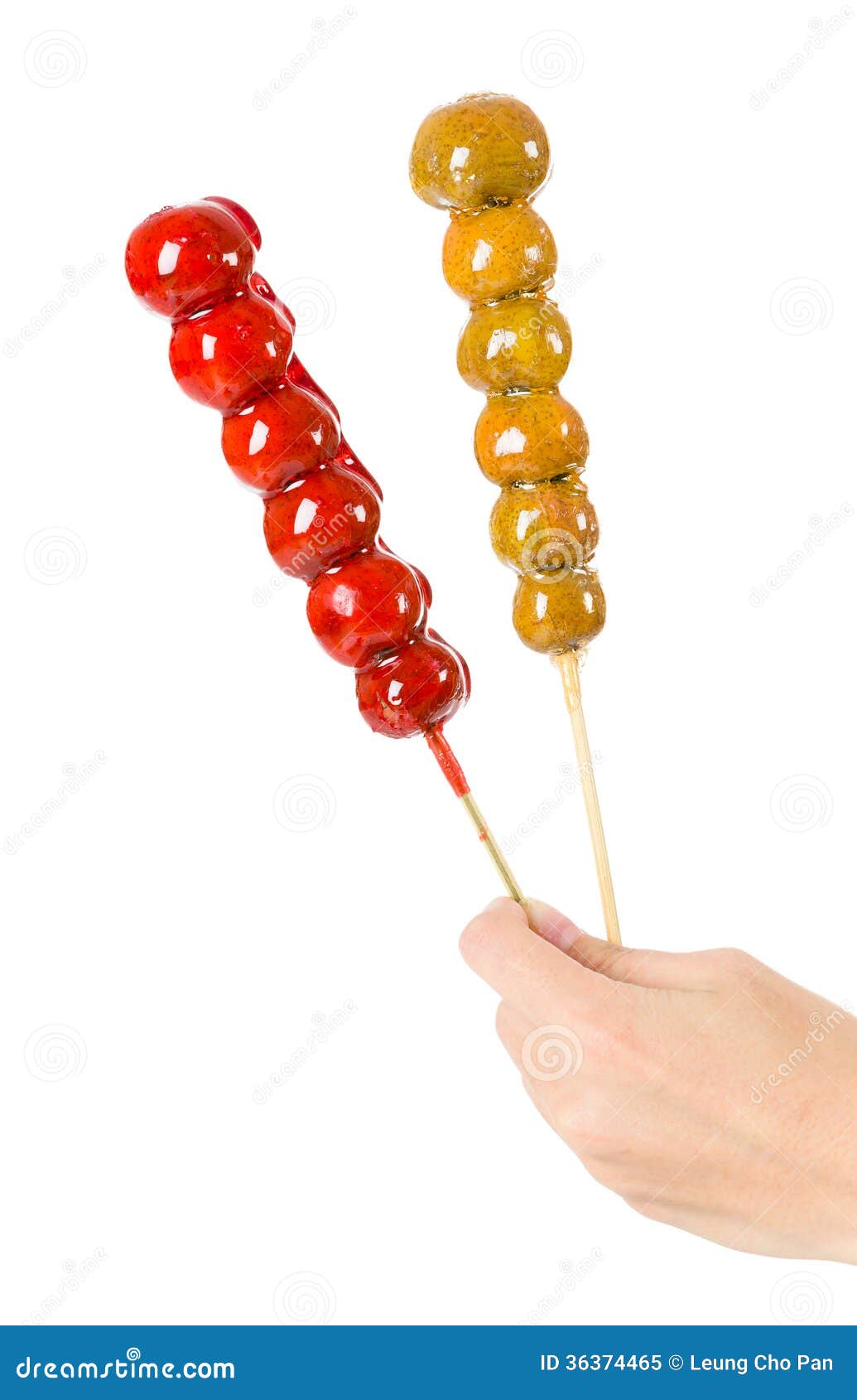 Biancospino candito immagine stock. Immagine di marrone - 36374465