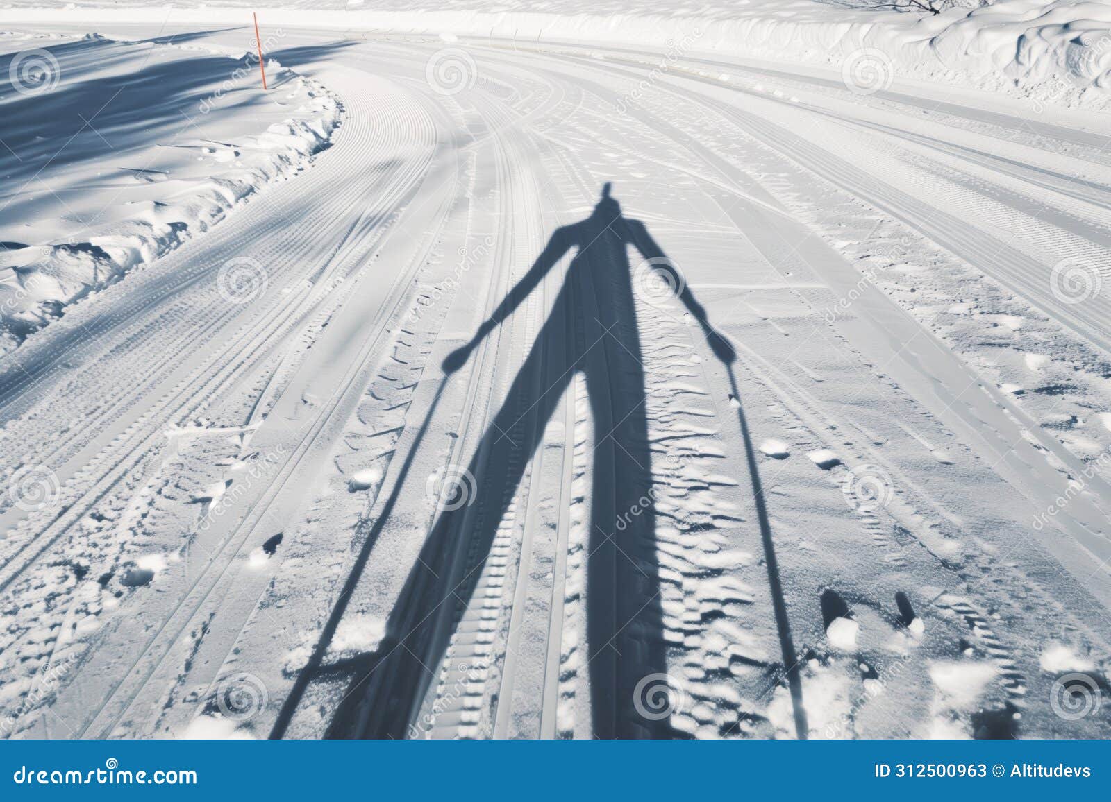Biathletes Shadow Stretching Over Snowy Track Stock Image - Image of ...