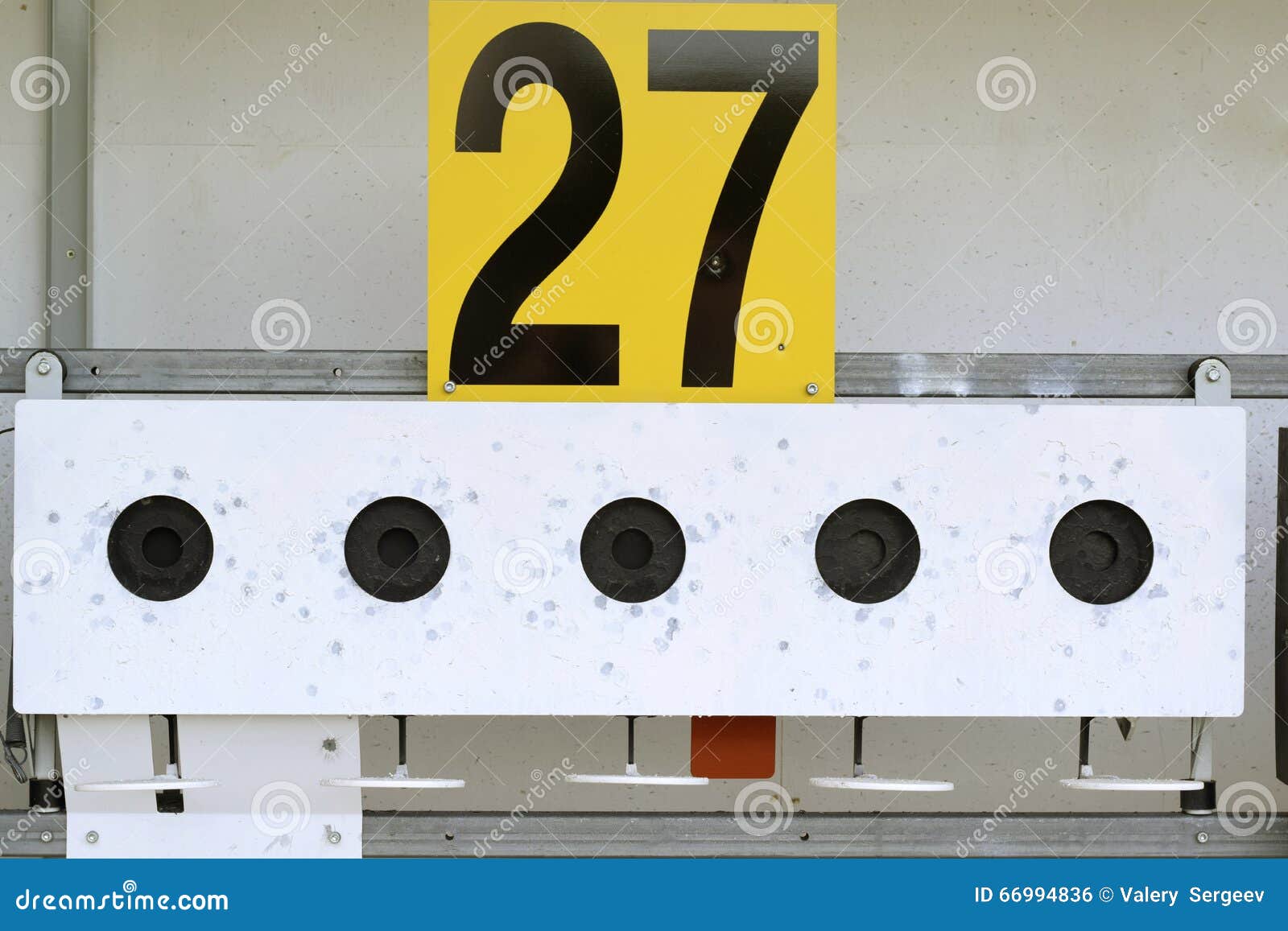 Biathlon . Target Sports Shooting Stock Photo - Image of award ...