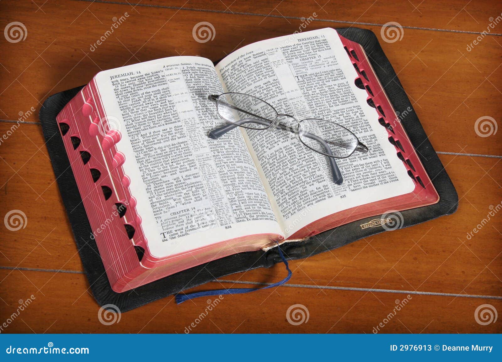 Bibeln Bild. Bild: 2976913