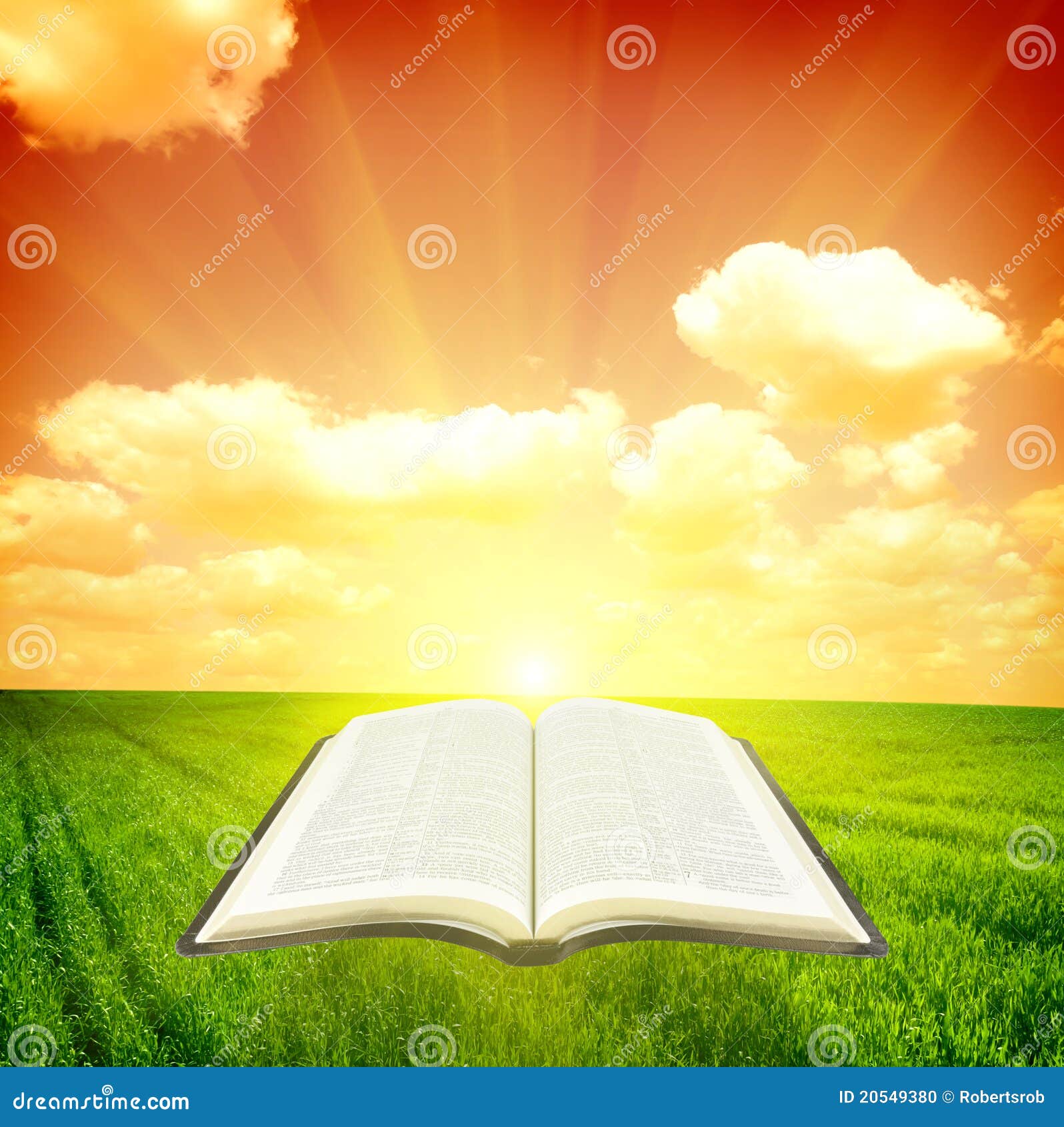 Bible, Sunset And Cross. Church Logo Concept. Isolated On White Vector ...