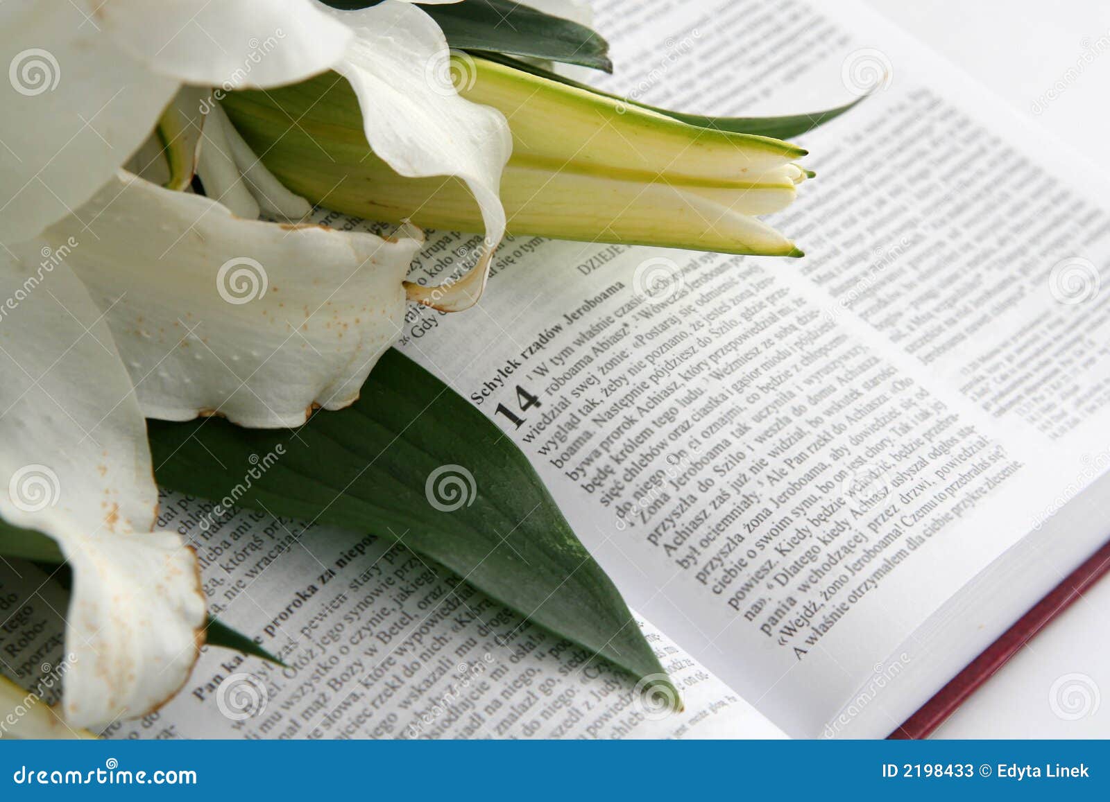 What Is Lily Work In The Bible at Charles Mcavoy blog