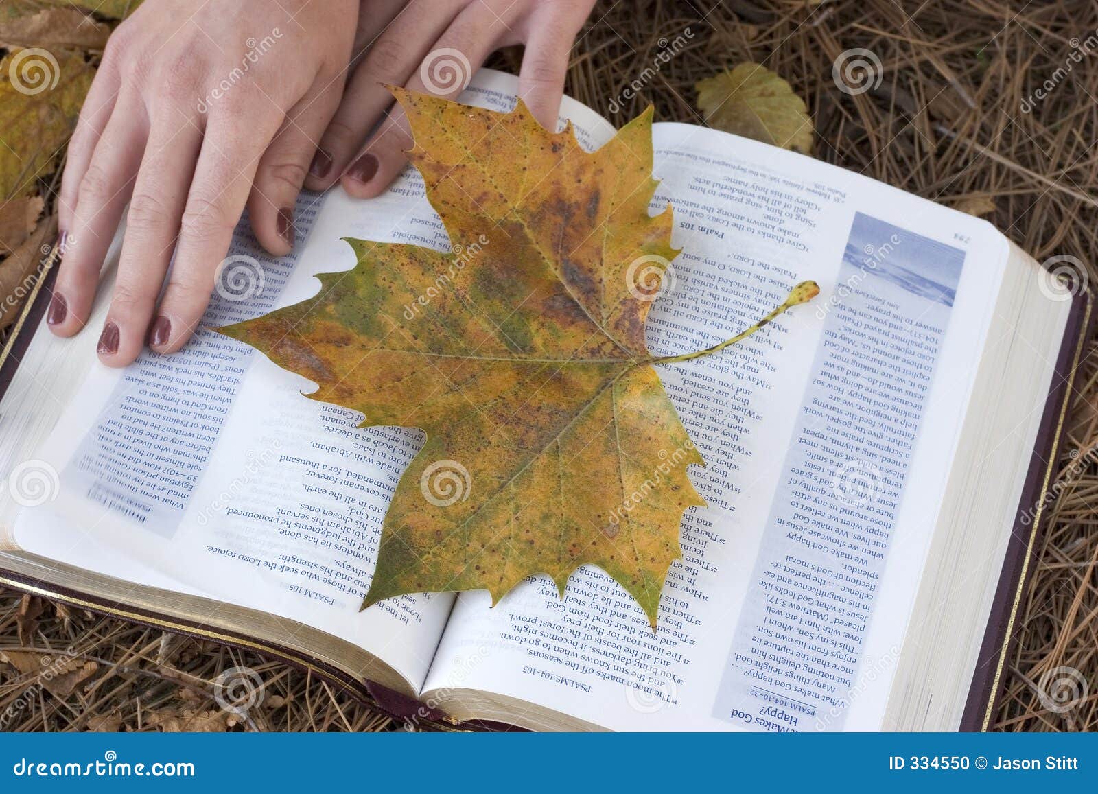 Bible stock photo. Image of religion, bibles, religious - 334550