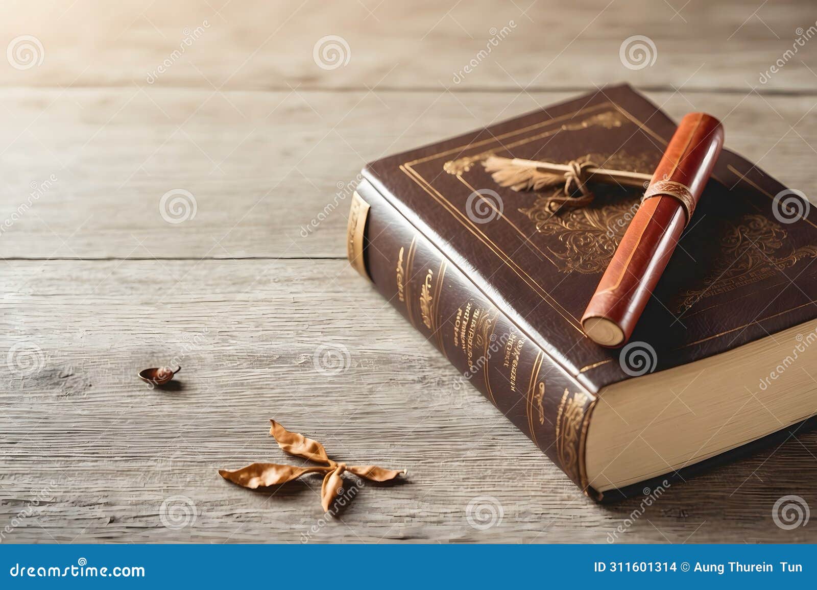 A Closed Bible Book with an Isolated Background Stock Photo - Image of ...