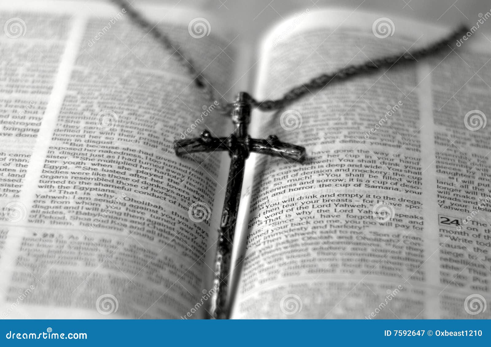 Bible and cross stock image. Image of holy, christ, religion - 7592647