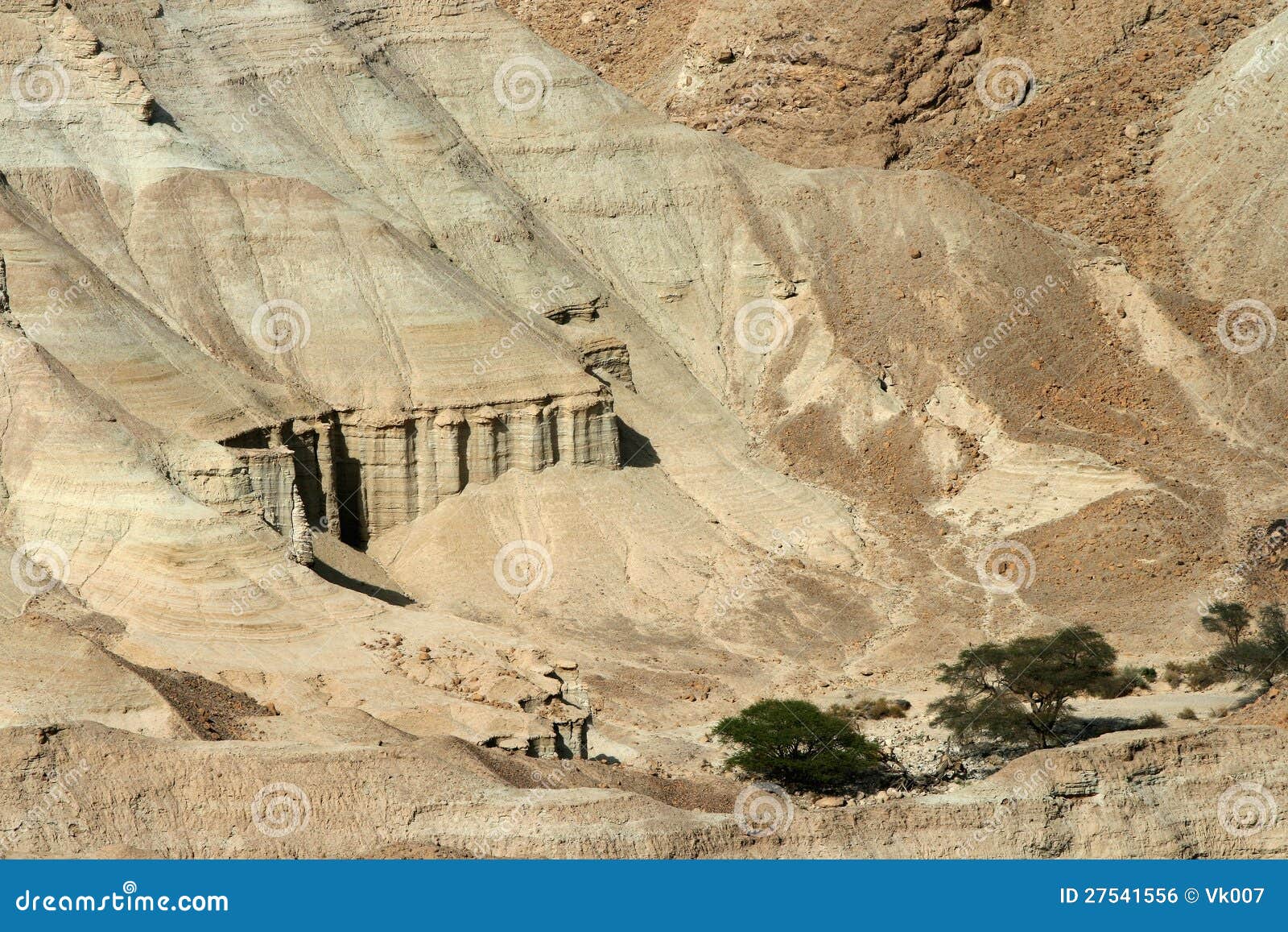 Bible Desert on the Coast of the Dead Sea Stock Photo - Image of dead ...