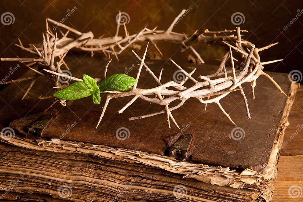 Bible and Easter crown stock image. Image of green, antique - 8540071
