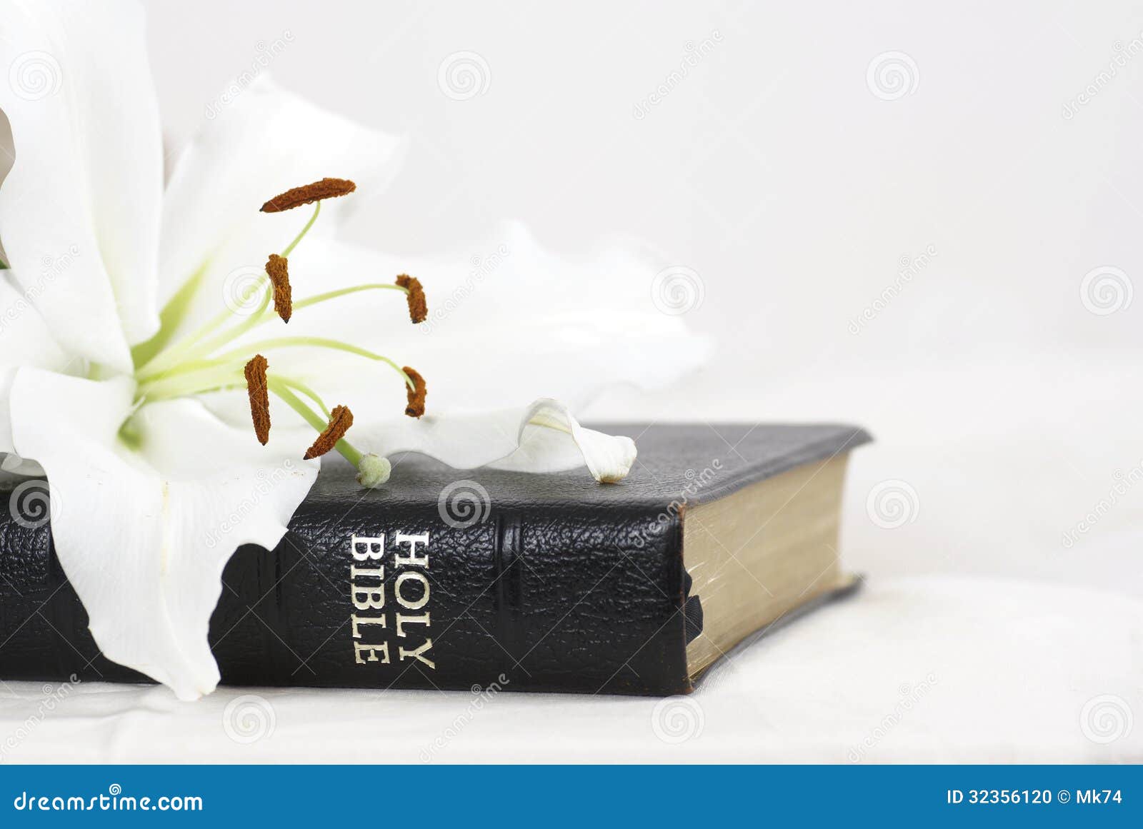 Bible and flower stock photo. Image of bible, horizontal - 32356120