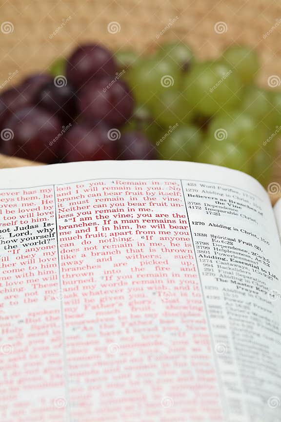 Bible and grapes stock photo. Image of branch, holy, open - 16590328
