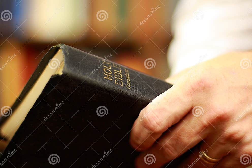 Bible in the Hands stock photo. Image of lord, religion - 2962448