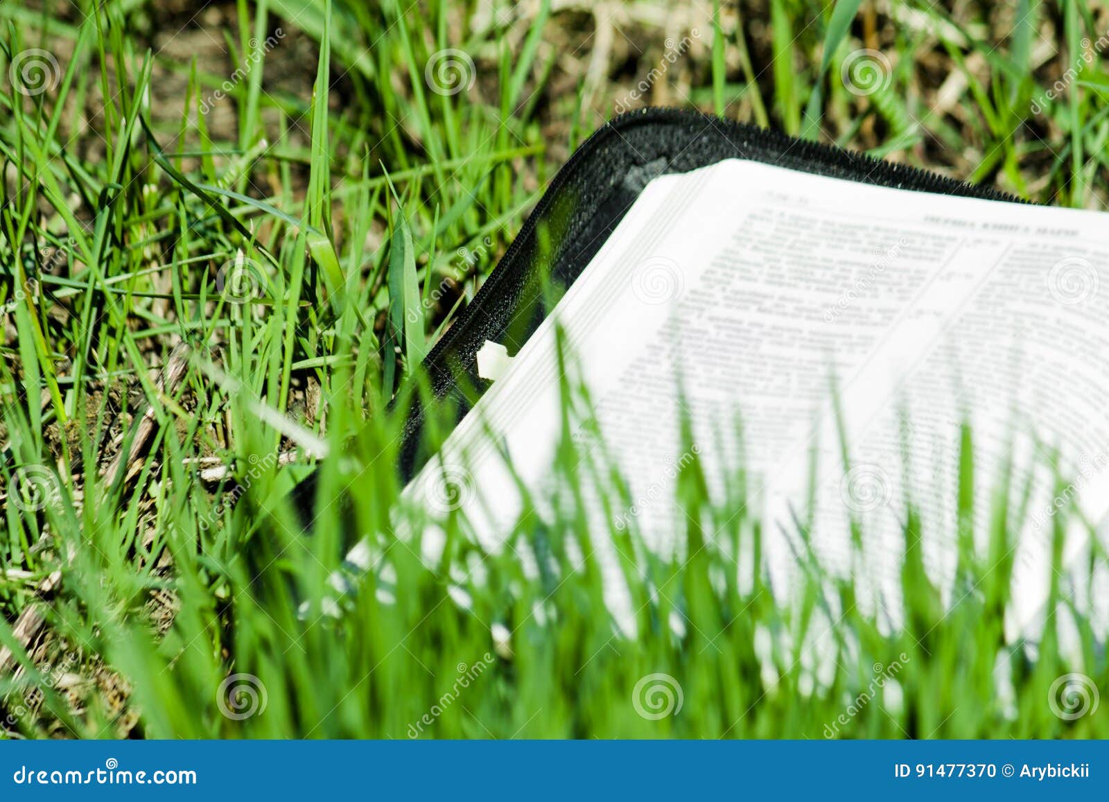 Bible in nature stock photo. Image of landscape, paper - 91477370