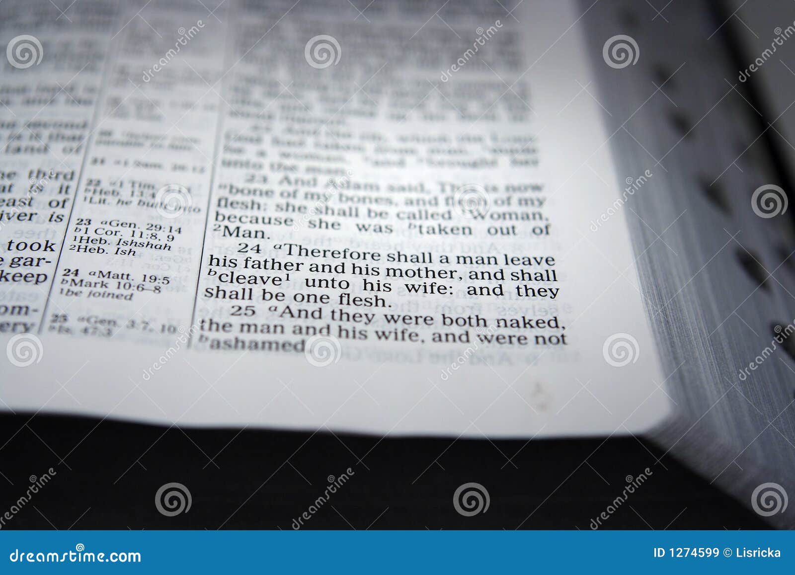 Bible Open To Genesis Chapter 2 Verse 24 Picture. Image: 1274599