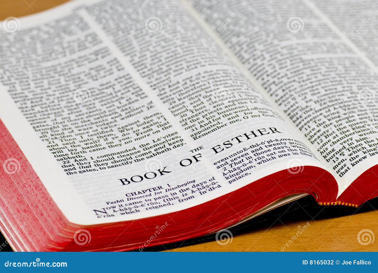 Bible Page - Esther stock photo. Image of scripture, prayer - 8165032