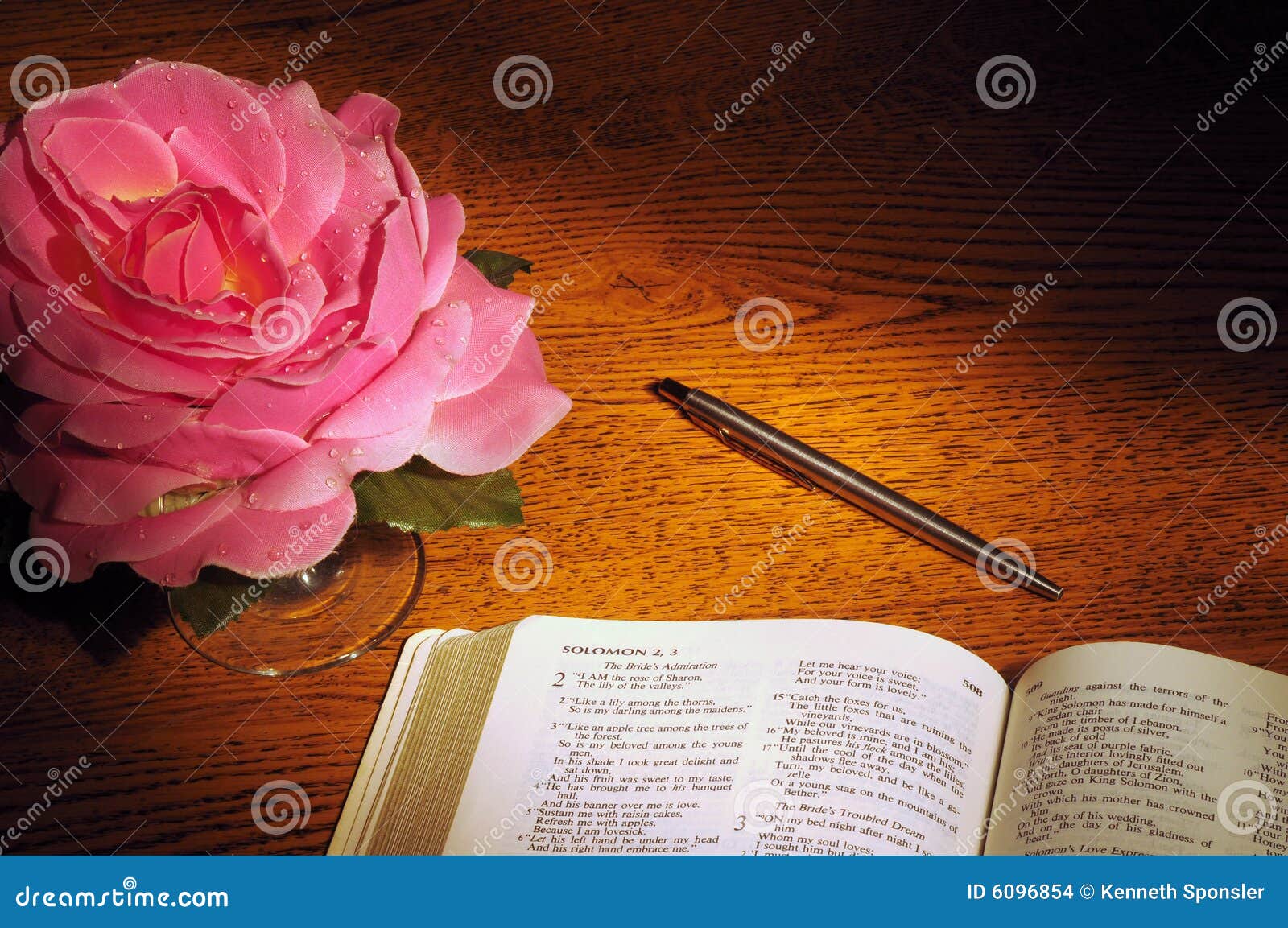 Bible, pen, & rose stock photo. Image of sacred, print - 6096854