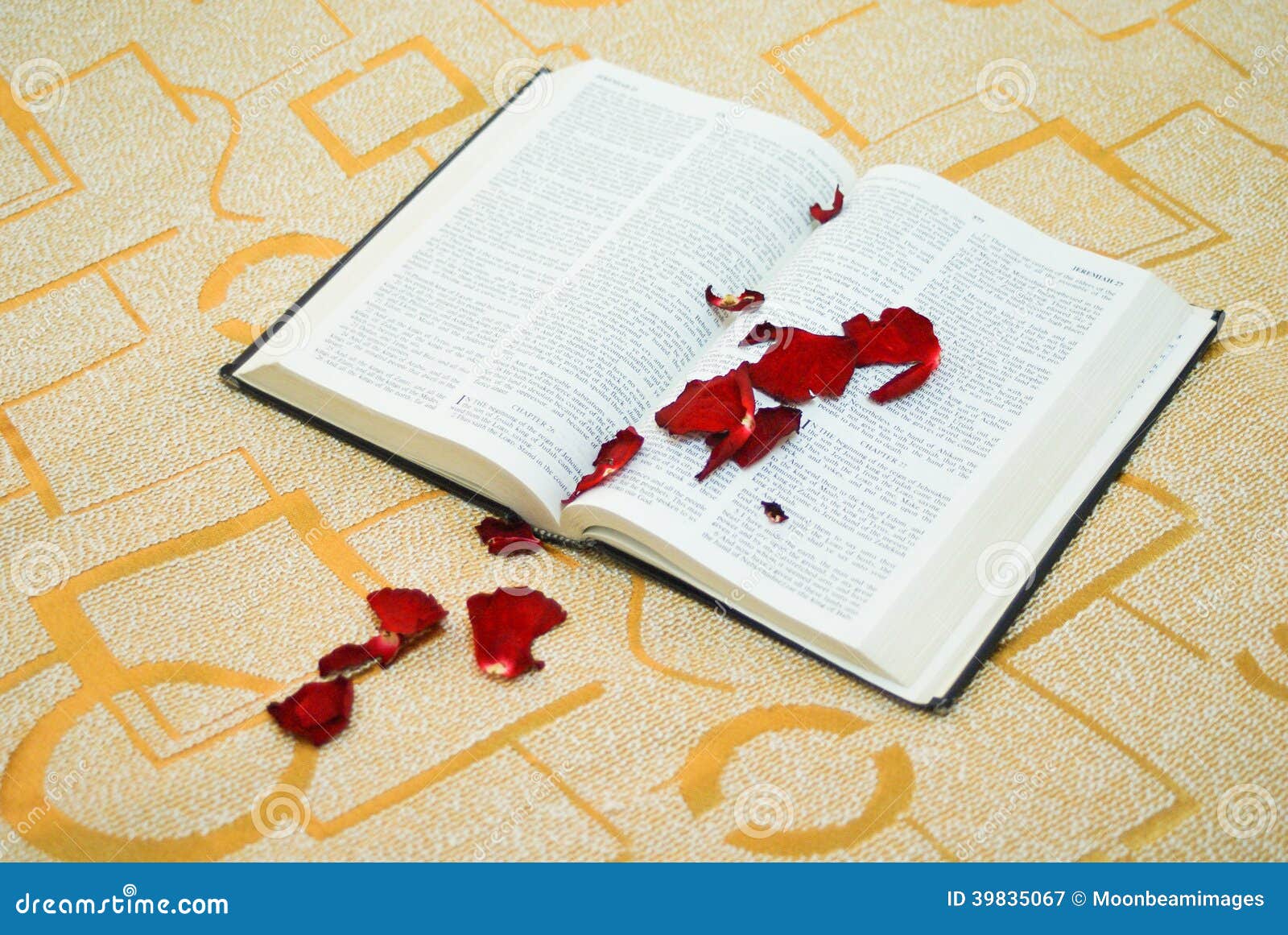 Bible Rose Petals stock image. Image of holy, gods, petals - 39835067