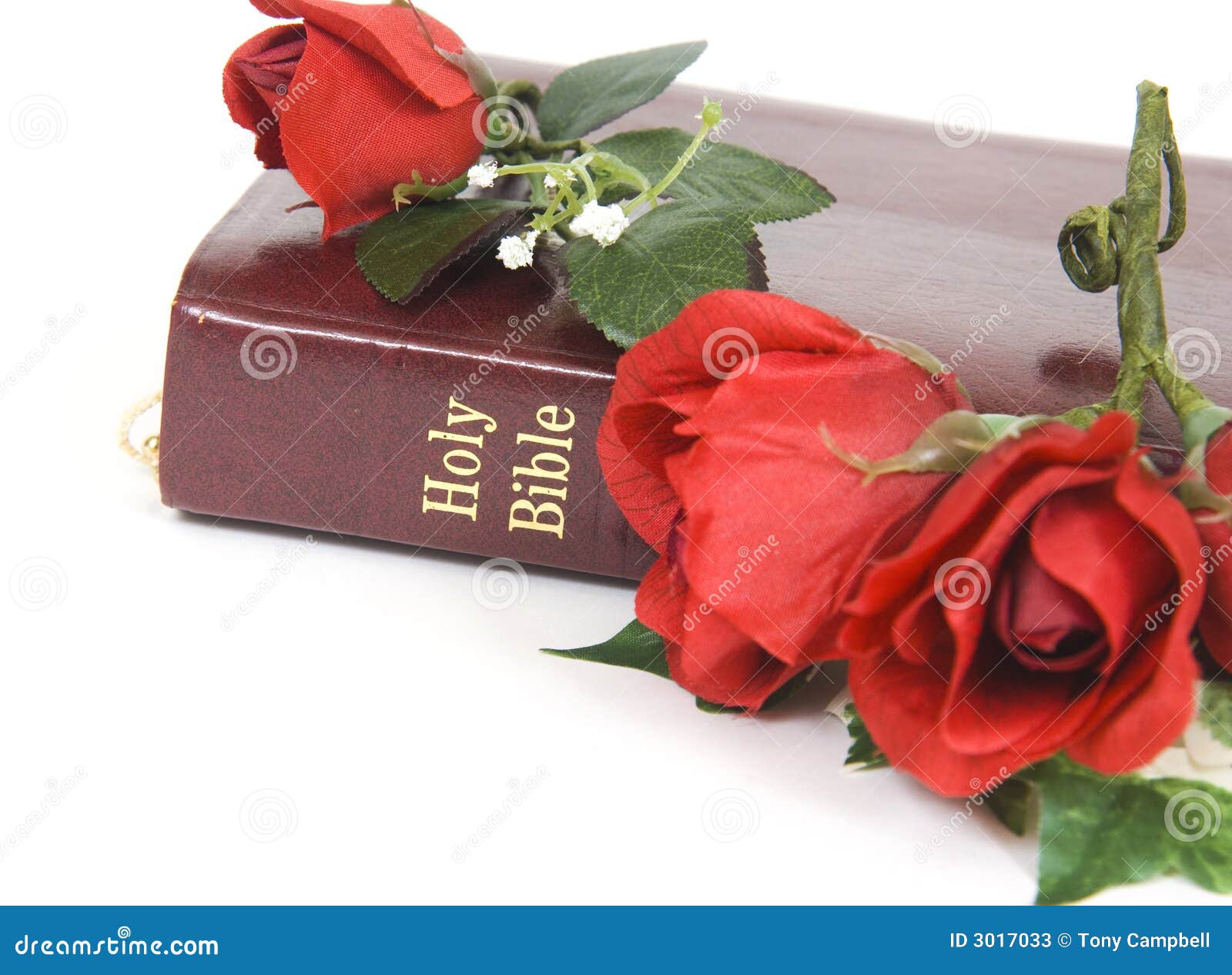 Bible and roses stock image. Image of background, stems - 3017033