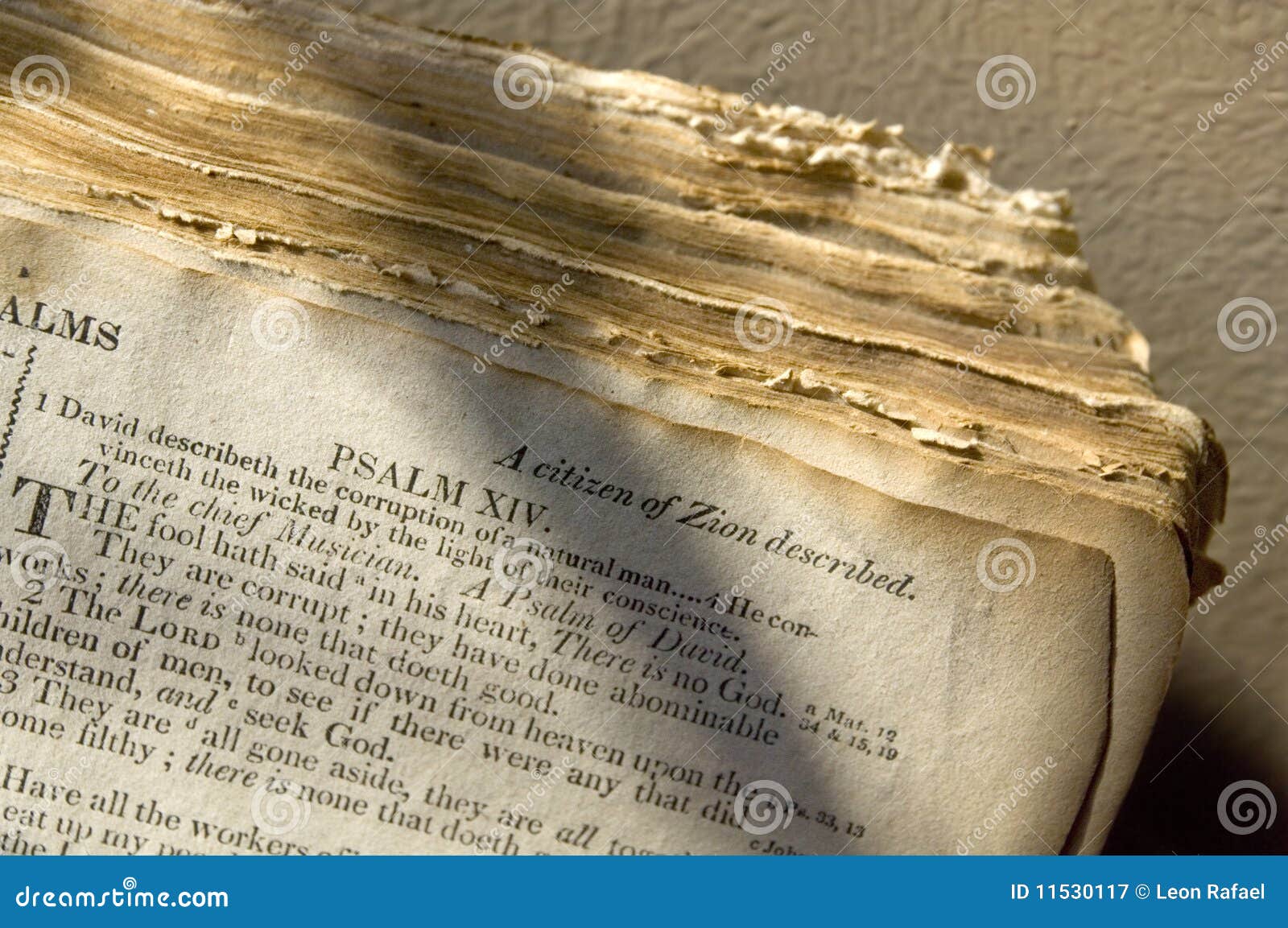 Bible Scriptures stock image. Image of page, text, christianity - 11530117