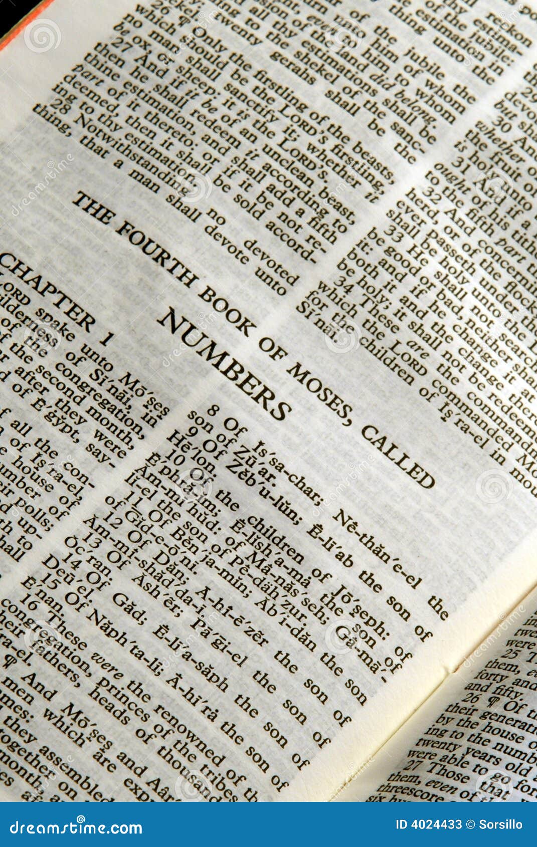 Bible series numbers stock image. Image of testament, protestant - 4024433