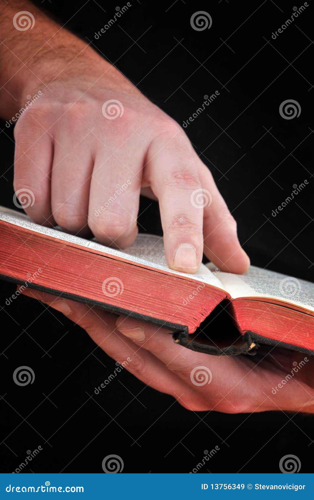 Bible study stock image. Image of hand, study, holy, reader - 13756349